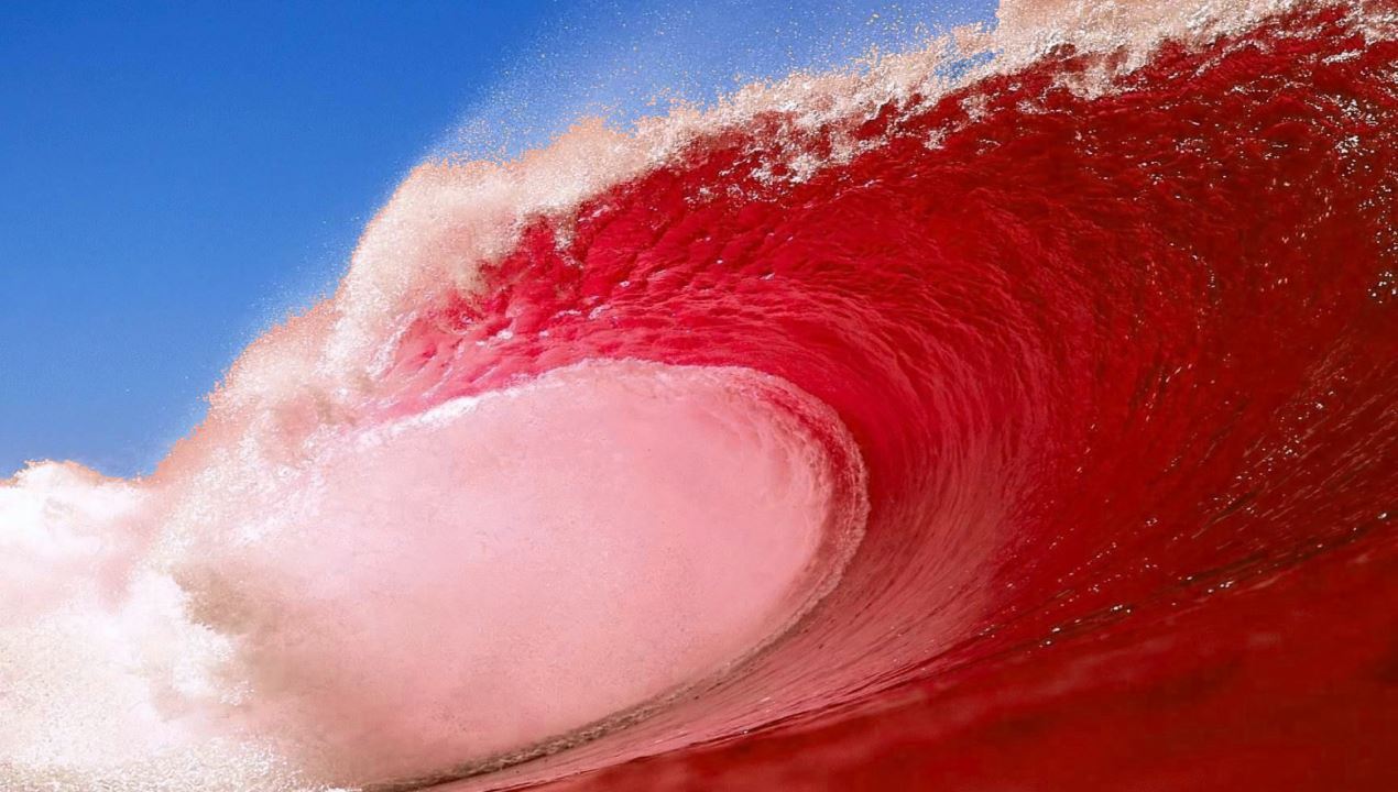 Huge Red Wave Coming - Let's Run The Table - Easton Spectator