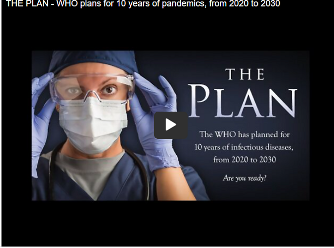 THE PLAN - WHO plans for 10 years of pandemics, from 2020 to 2030 ...