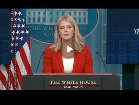 Press Sec Leavitt Goes Off on liberal media over Dan Bongino ...